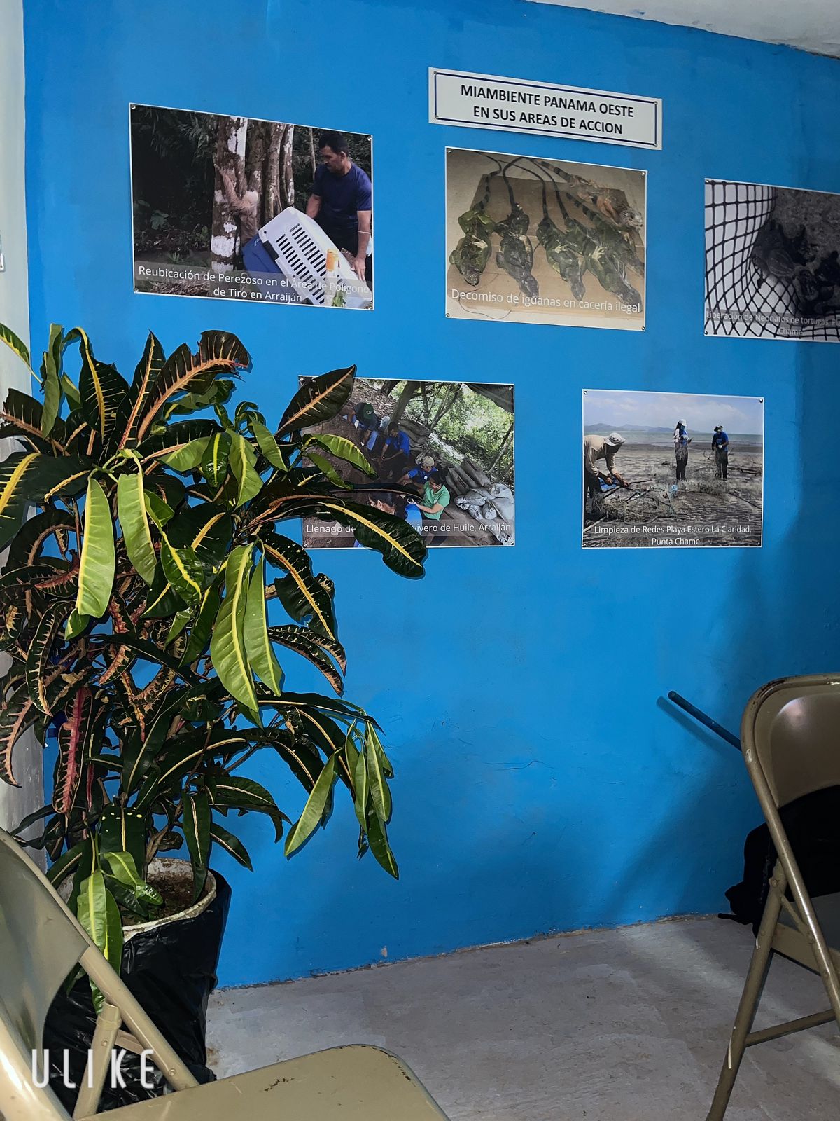 MiAMBIENTE Panamá Oeste ofrece información de trámites en pabellón en ...