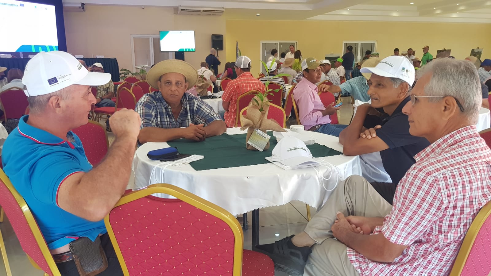 Azuero es cada vez más verde gracias a proyecto regional de sostenibilidad y resiliencia ...