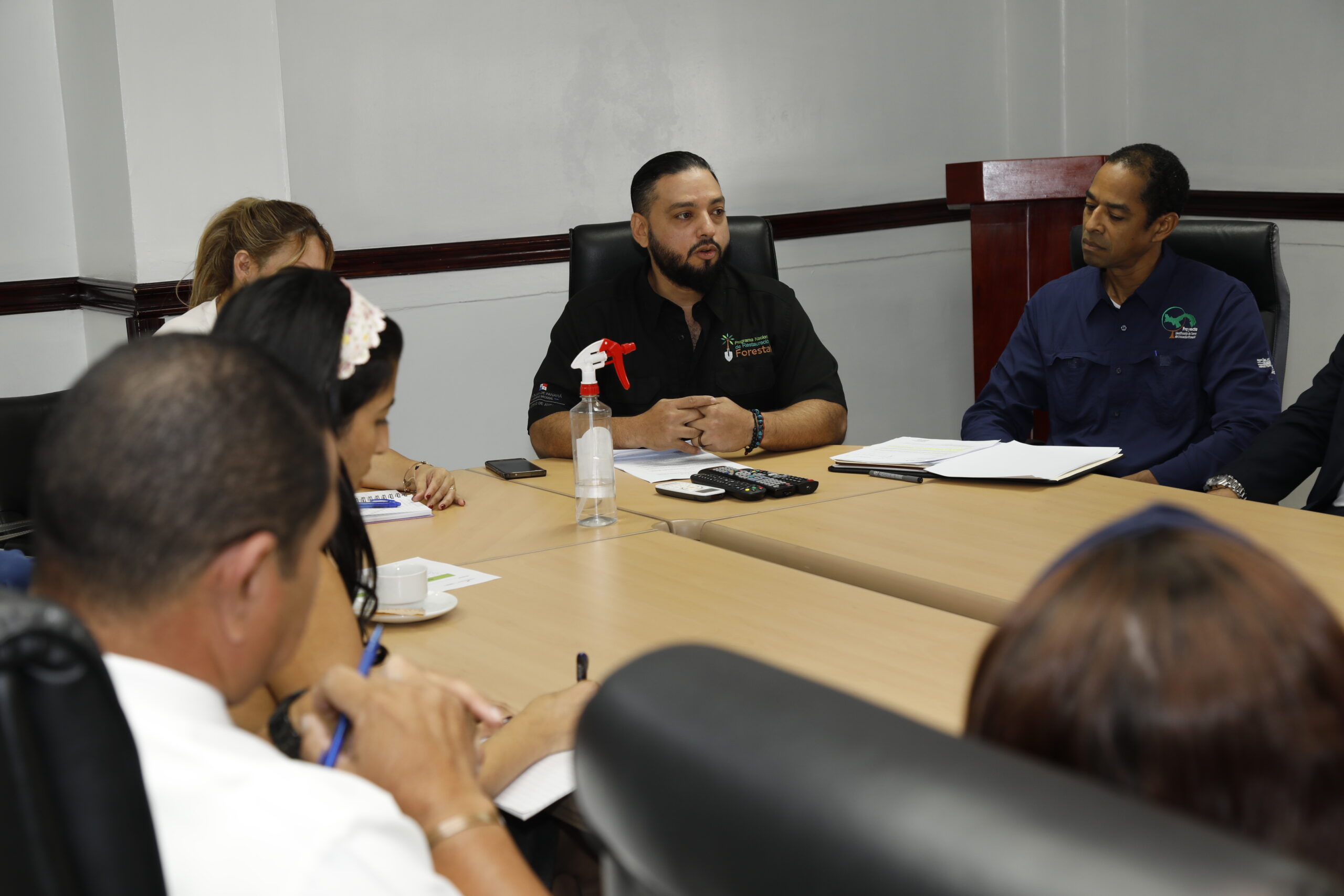 MiAMBIENTE y empresas de distribución energía abordan la poda y tala en ...