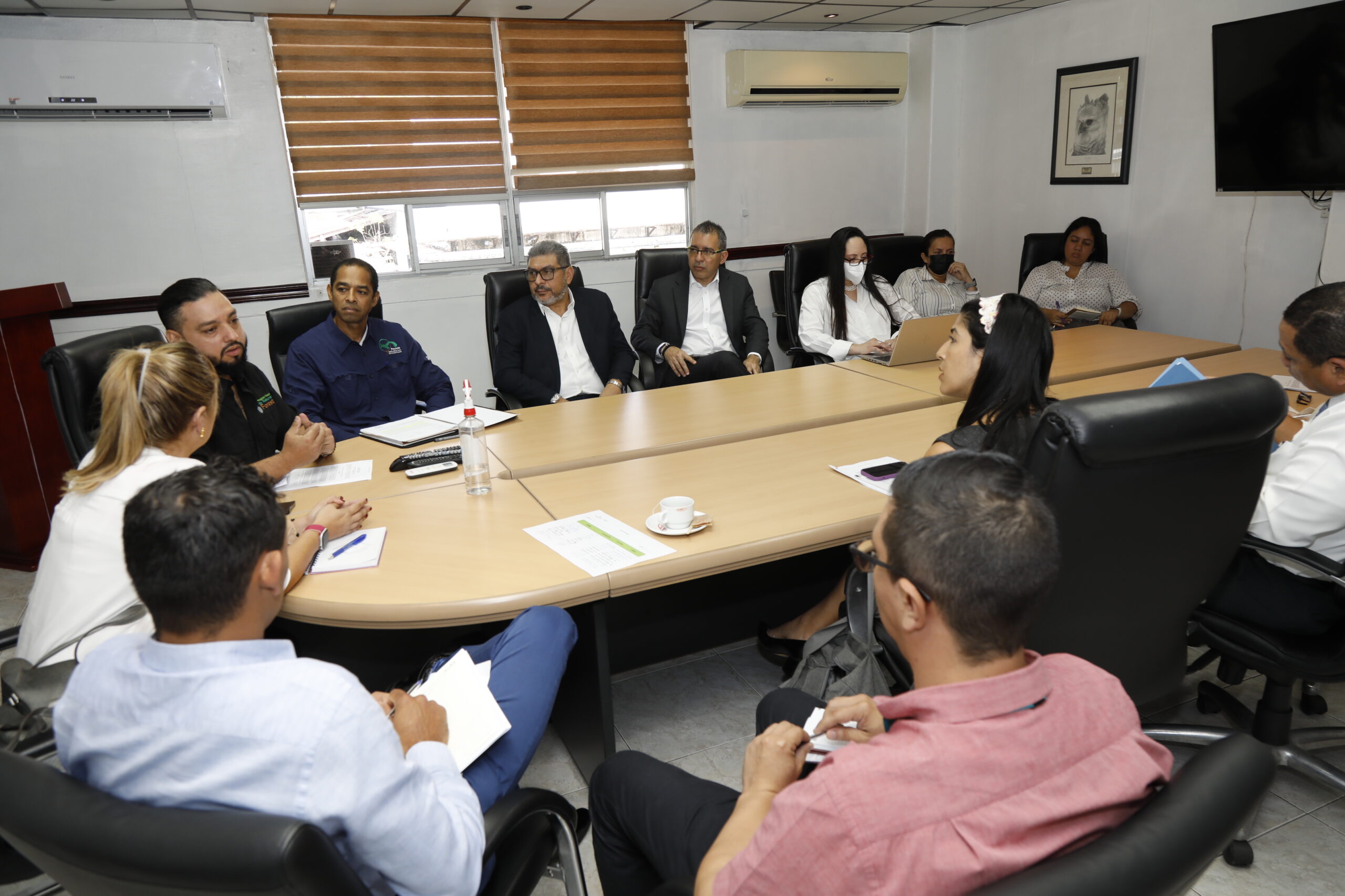 MiAMBIENTE y empresas de distribución energía abordan la poda y tala en ...