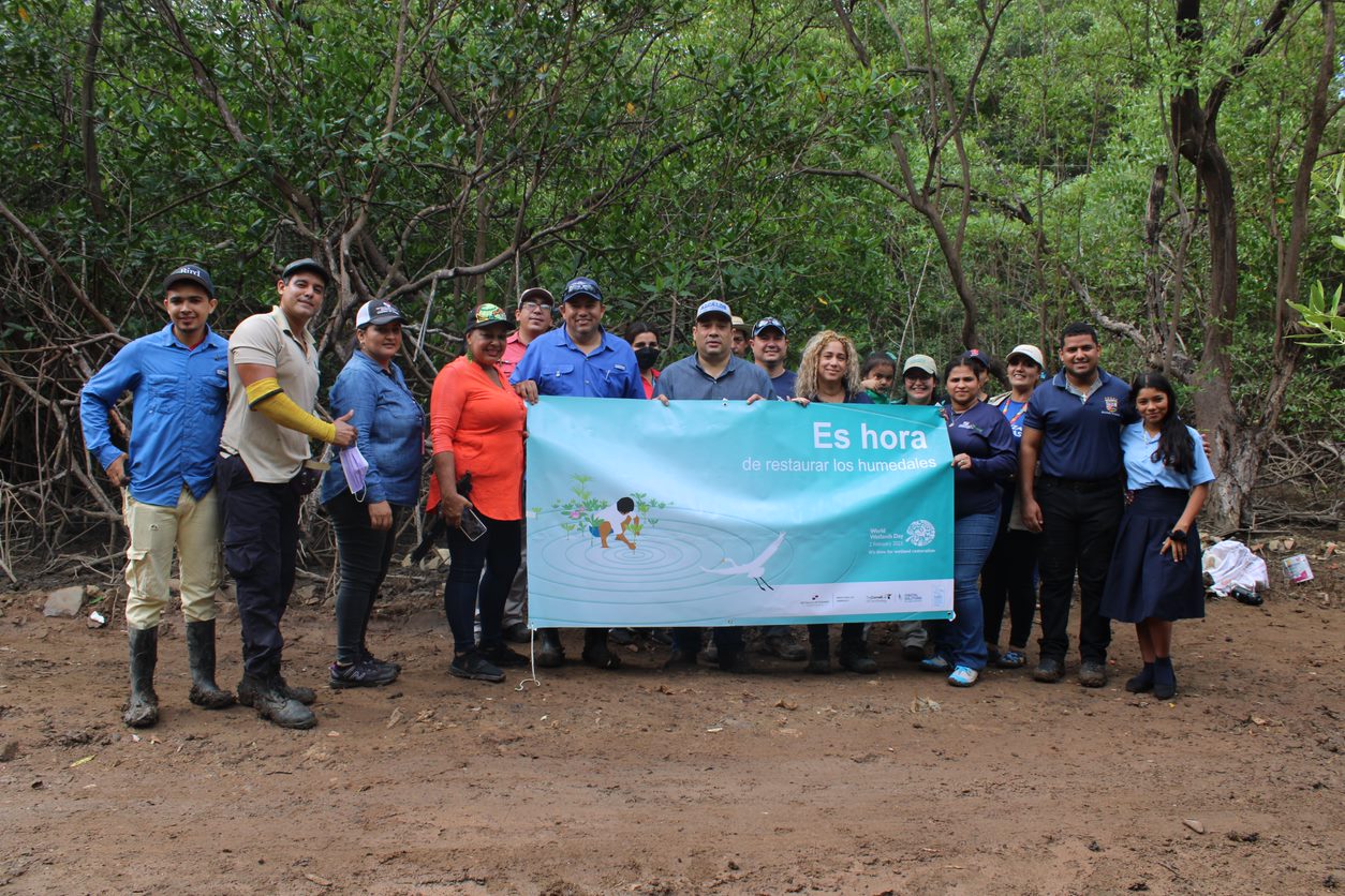 Realizan siembra simbólica de manglar para resaltar la importancia de ...