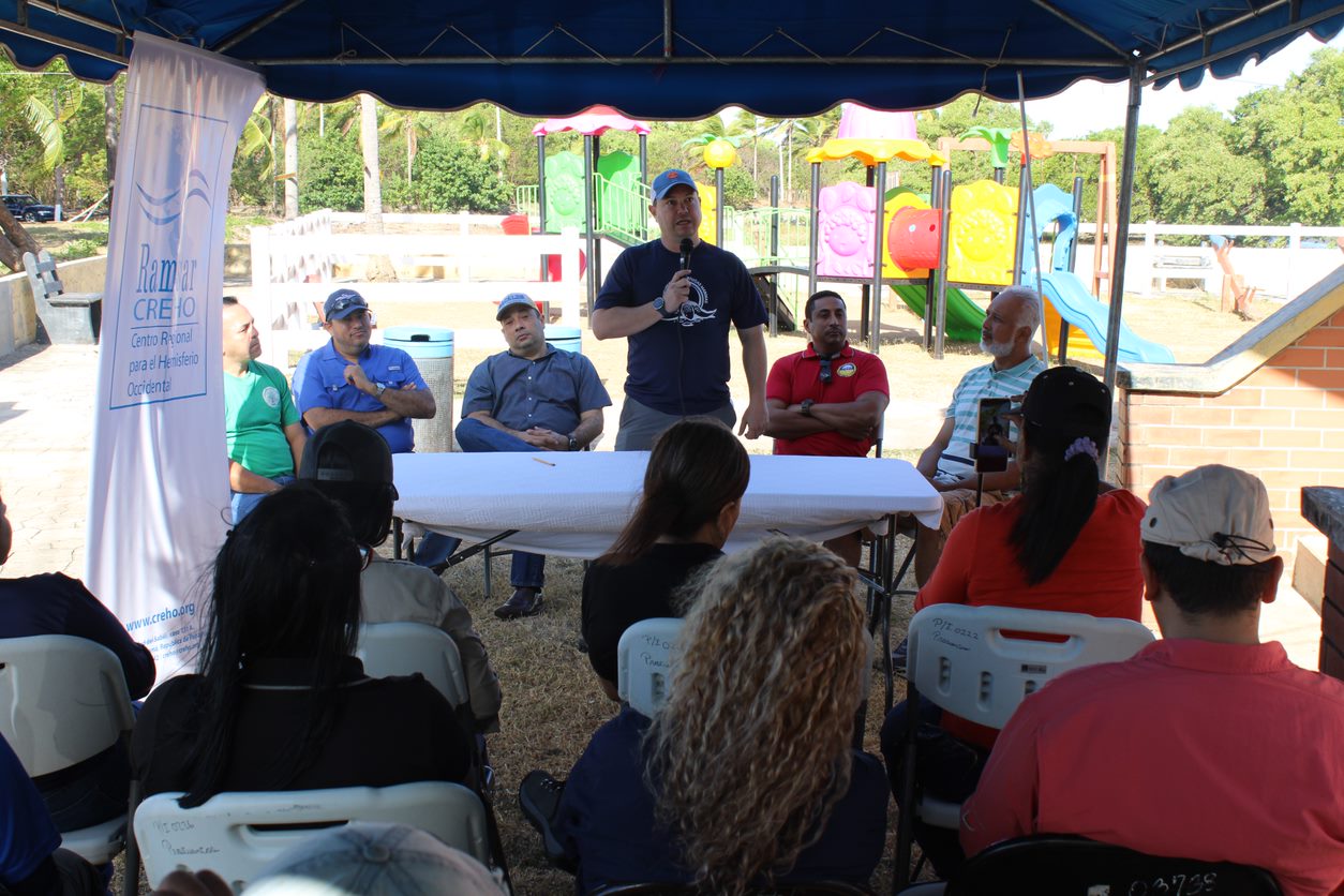 Realizan siembra simbólica de manglar para resaltar la importancia de ...