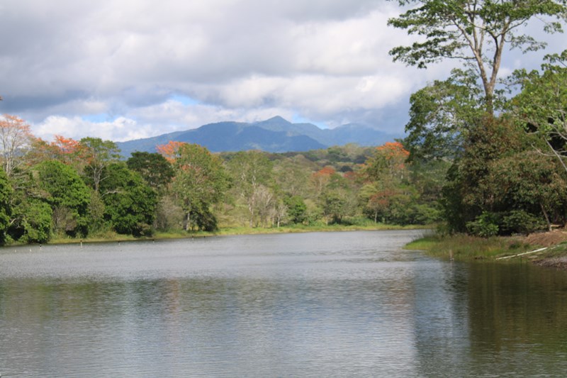 Integrantes de los CCH conocen del proyecto “Lago Río Sereno” - MiAmbiente