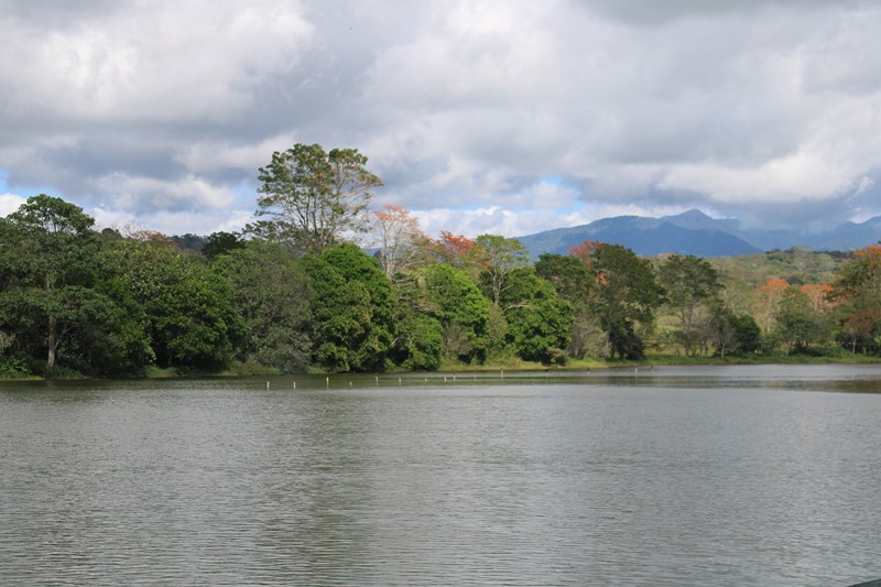 Integrantes de los CCH conocen del proyecto “Lago Río Sereno” - MiAmbiente