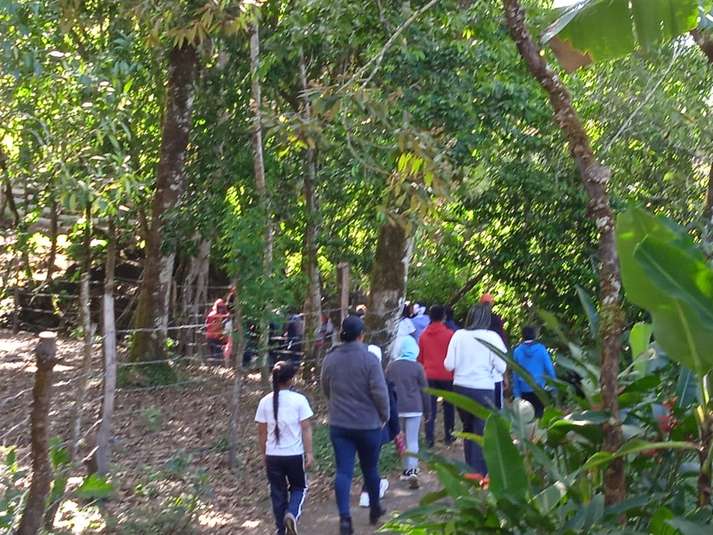 Estudiantes disfrutan y aprenden con las bondades naturales del río ...