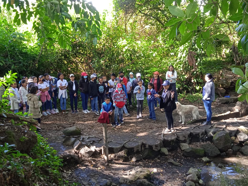 Estudiantes disfrutan y aprenden con las bondades naturales del río ...