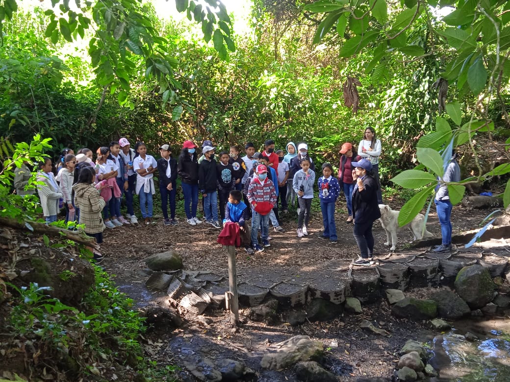 Estudiantes disfrutan y aprenden con las bondades naturales del río ...