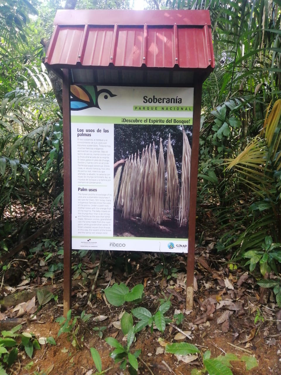 Se actualiza la señalética del Sendero Espíritu del Bosque - MiAmbiente