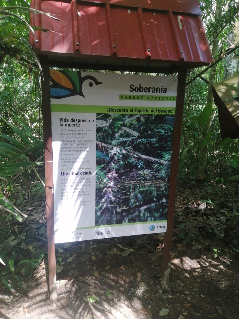 Se actualiza la señalética del Sendero Espíritu del Bosque - MiAmbiente