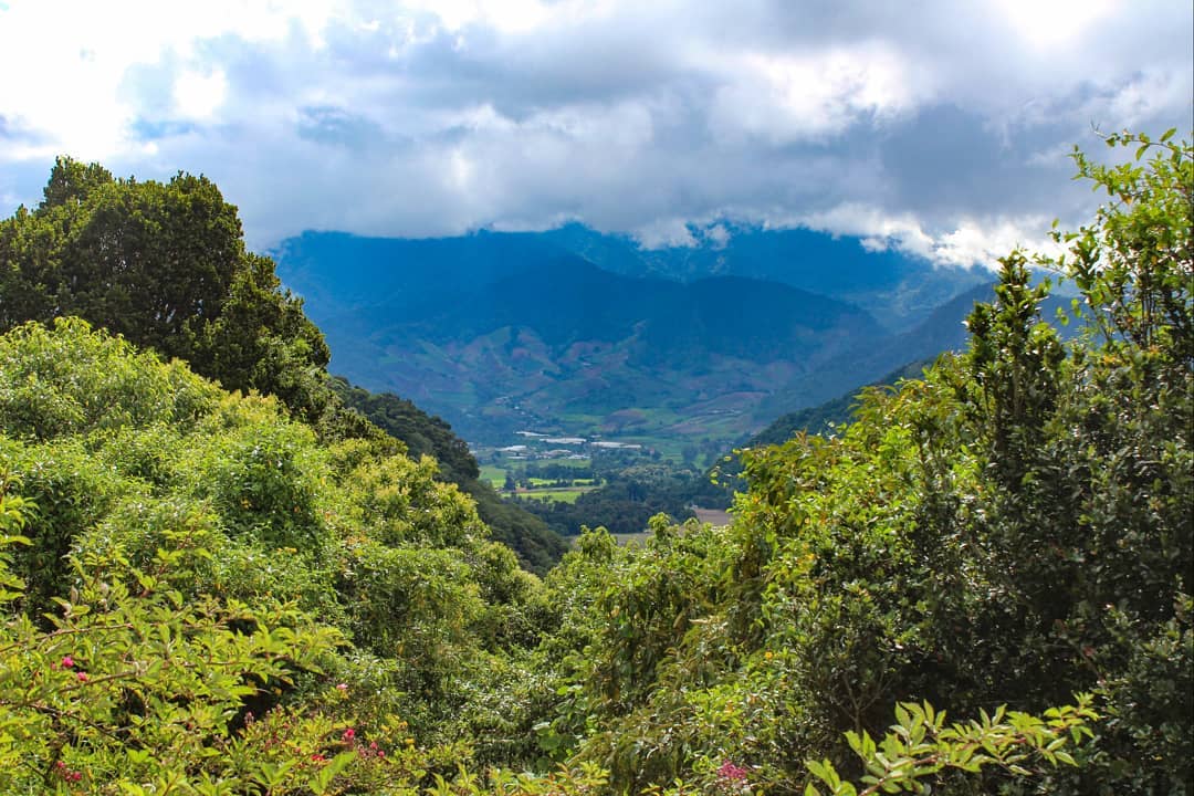 MiAMBIENTE Chiriquí listo con su operativo de Semana Santa - MiAmbiente