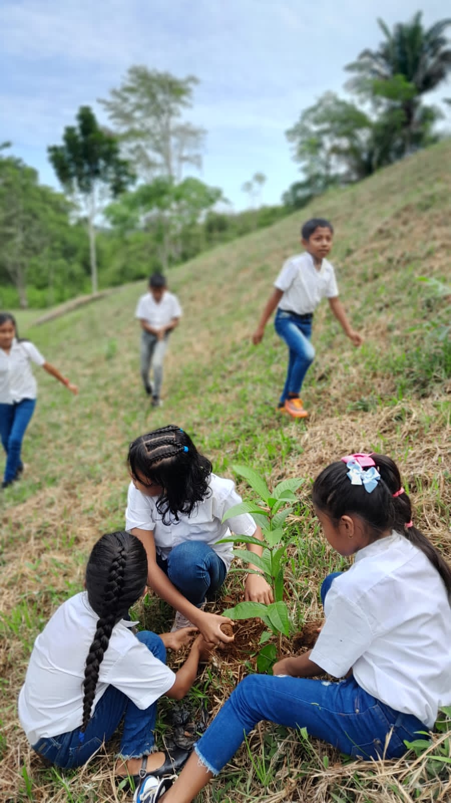 Comité de Cuenca Hidrográfica de Río Indio (111) organiza jornadas de ...
