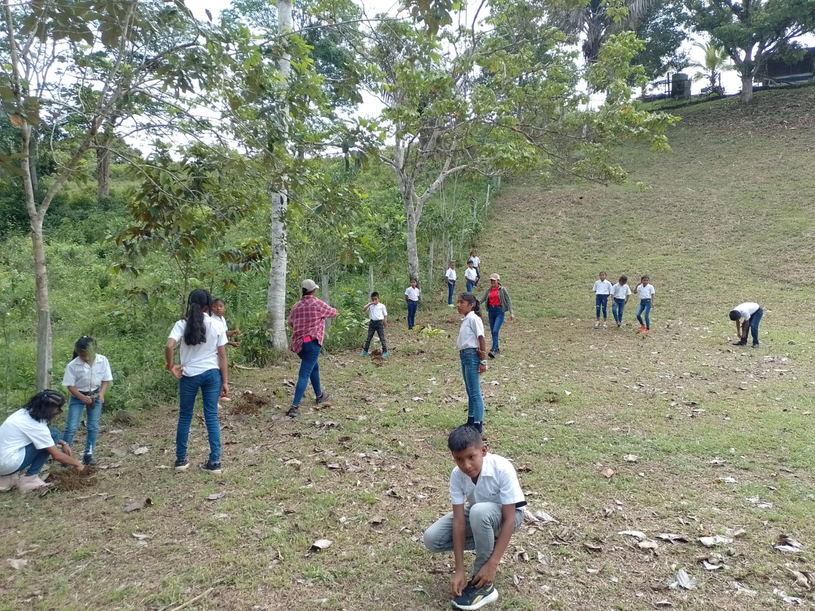Comité de Cuenca Hidrográfica de Río Indio (111) organiza jornadas de ...
