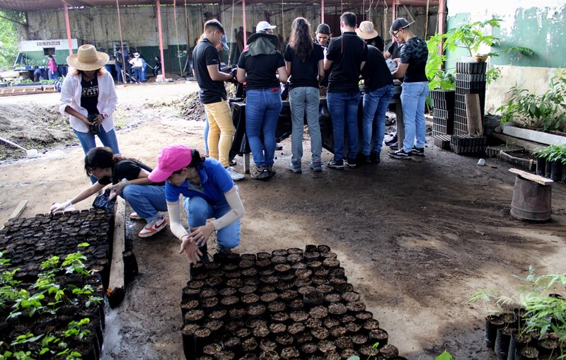 Estudiantes de la UTP realizan responsabilidad social en sección ...