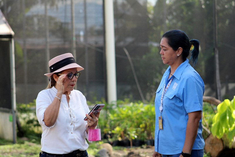 Estudiantes de la UTP realizan responsabilidad social en sección ...