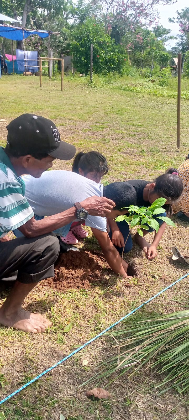 Niños Y Niñas Del Chilar En Donoso Aprenden A Reforestar Miambiente