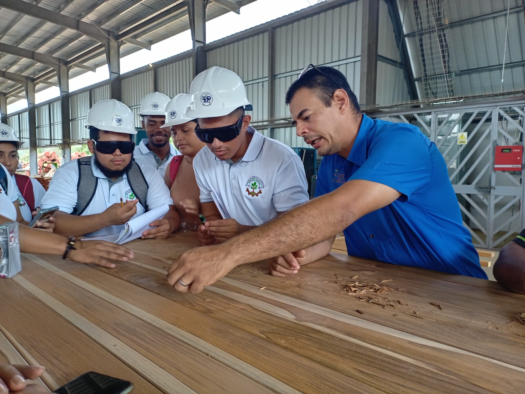 Ecotopía Teak: Fomentando la producción responsable de la teca en ...