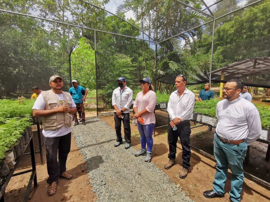 Ministerio de Ambiente inaugura el nuevo vivero forestal de TAPAGRA en ...