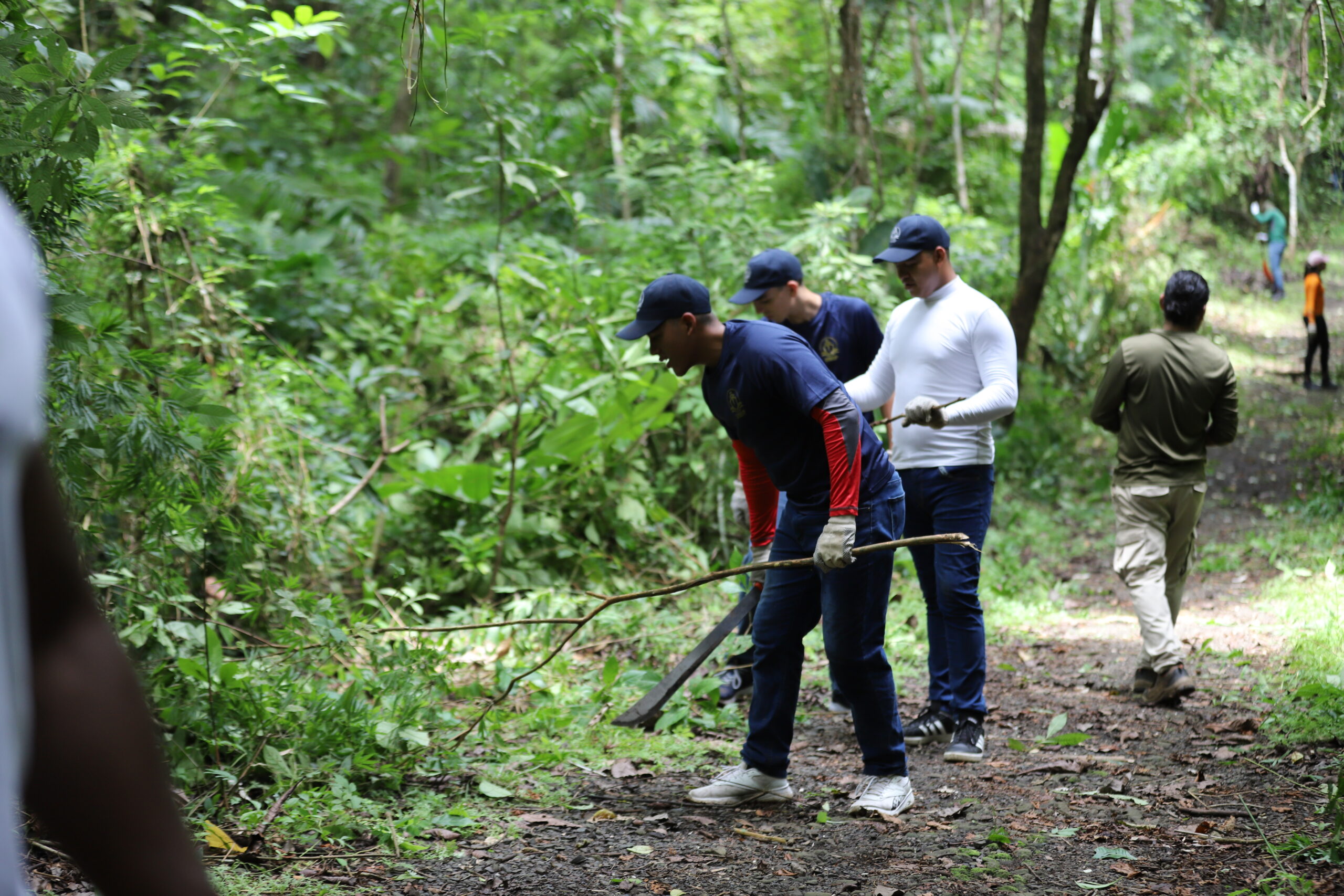 Limpieza y Mantenimiento de senderos en el Parque Nacional Camino de ...