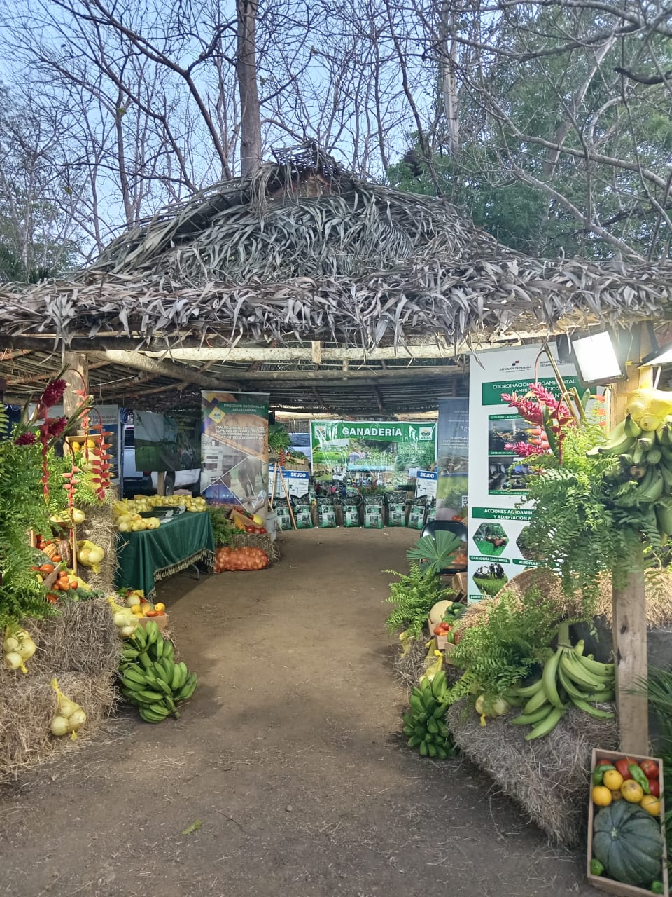 MiAMBIENTE Los Santos presentó pabellón en la feria del Bosque Comunal ...