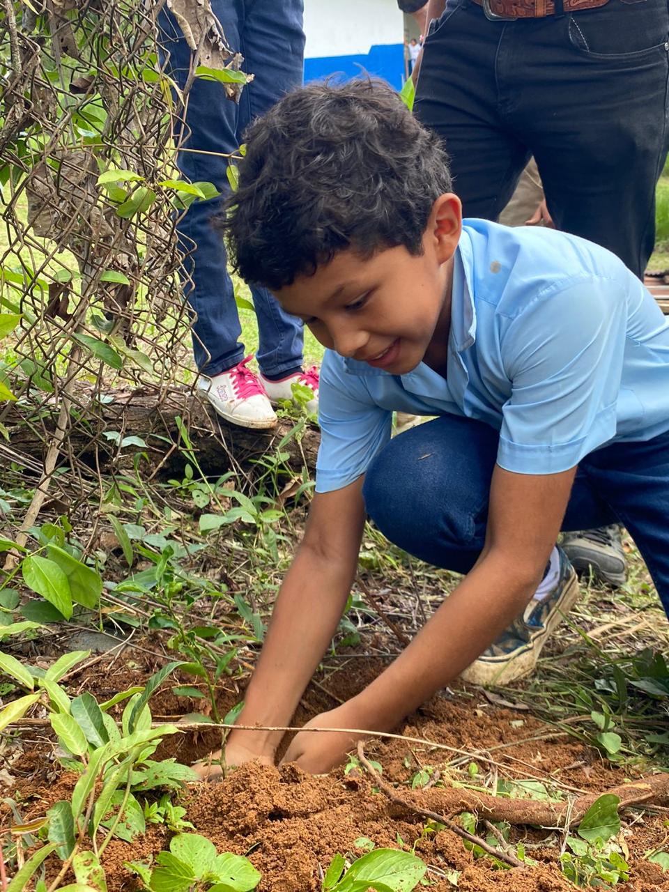 Jornada de reforestación y capacitación en la escuela Montaña de Boro ...