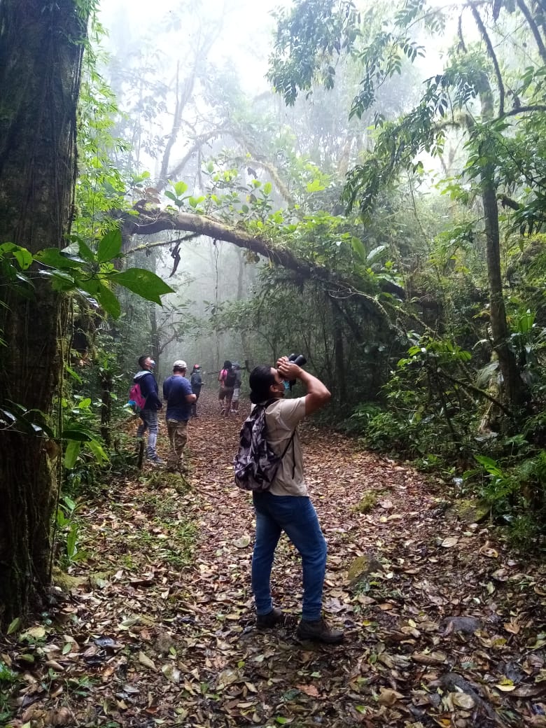 Promueven el turismo verde en el Parque y Reserva Biológica de Campana ...