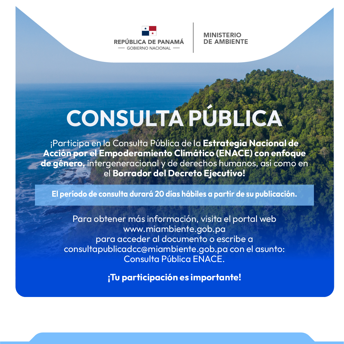 Consulta Publica de la Estrategia Nacional de Accion por el ...