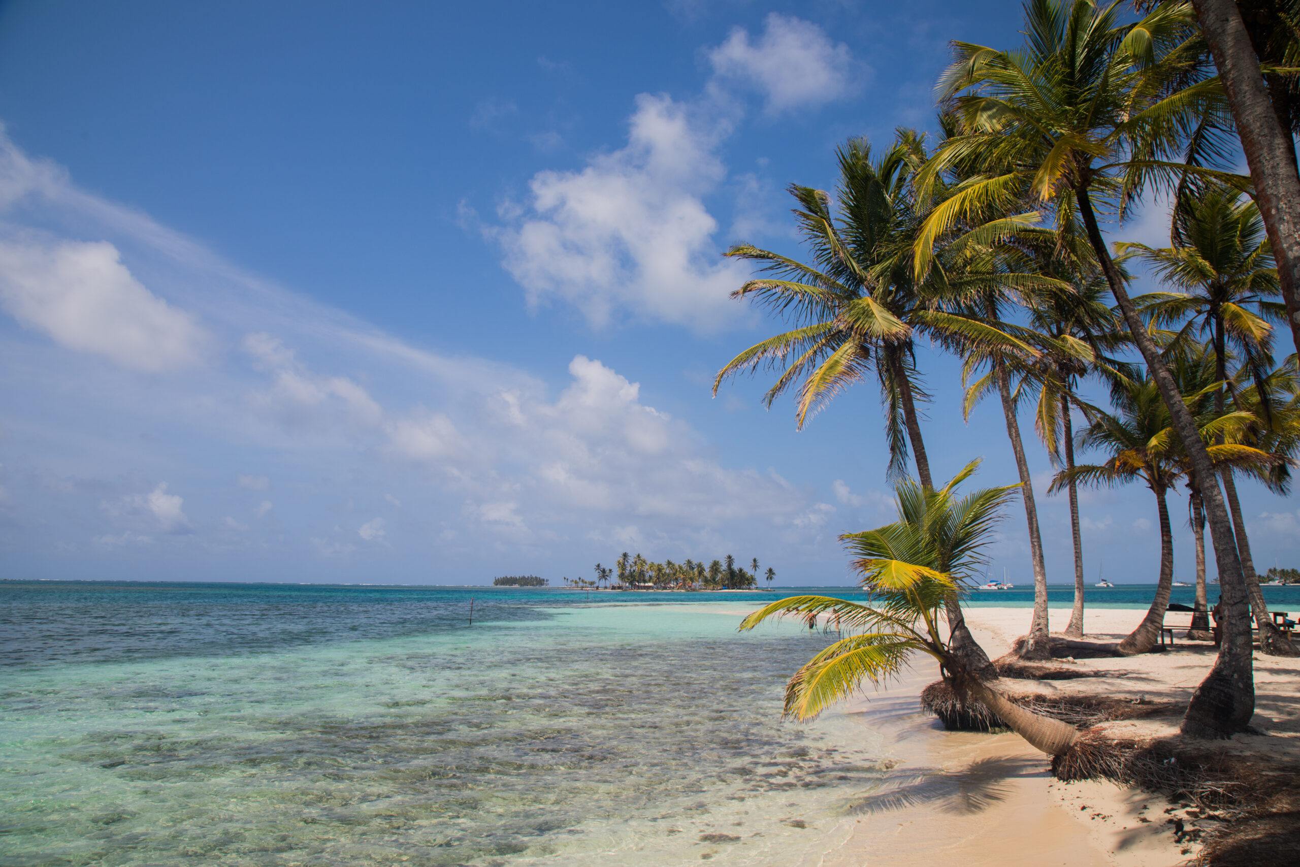 Panamá ingresa al Sistema Global de Información sobre Biodiversidad ...