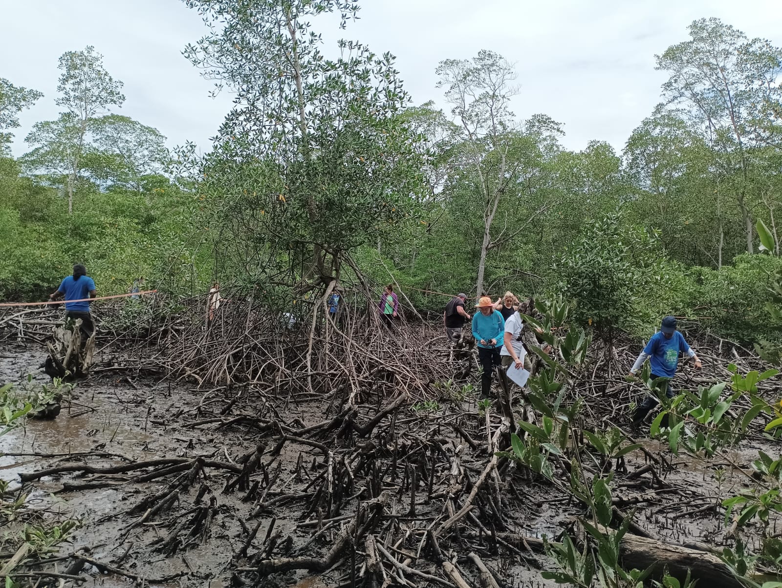 MiAMBIENTE Y Ramsar coordinan capacitación sobre los manglares de Chame - MiAmbiente