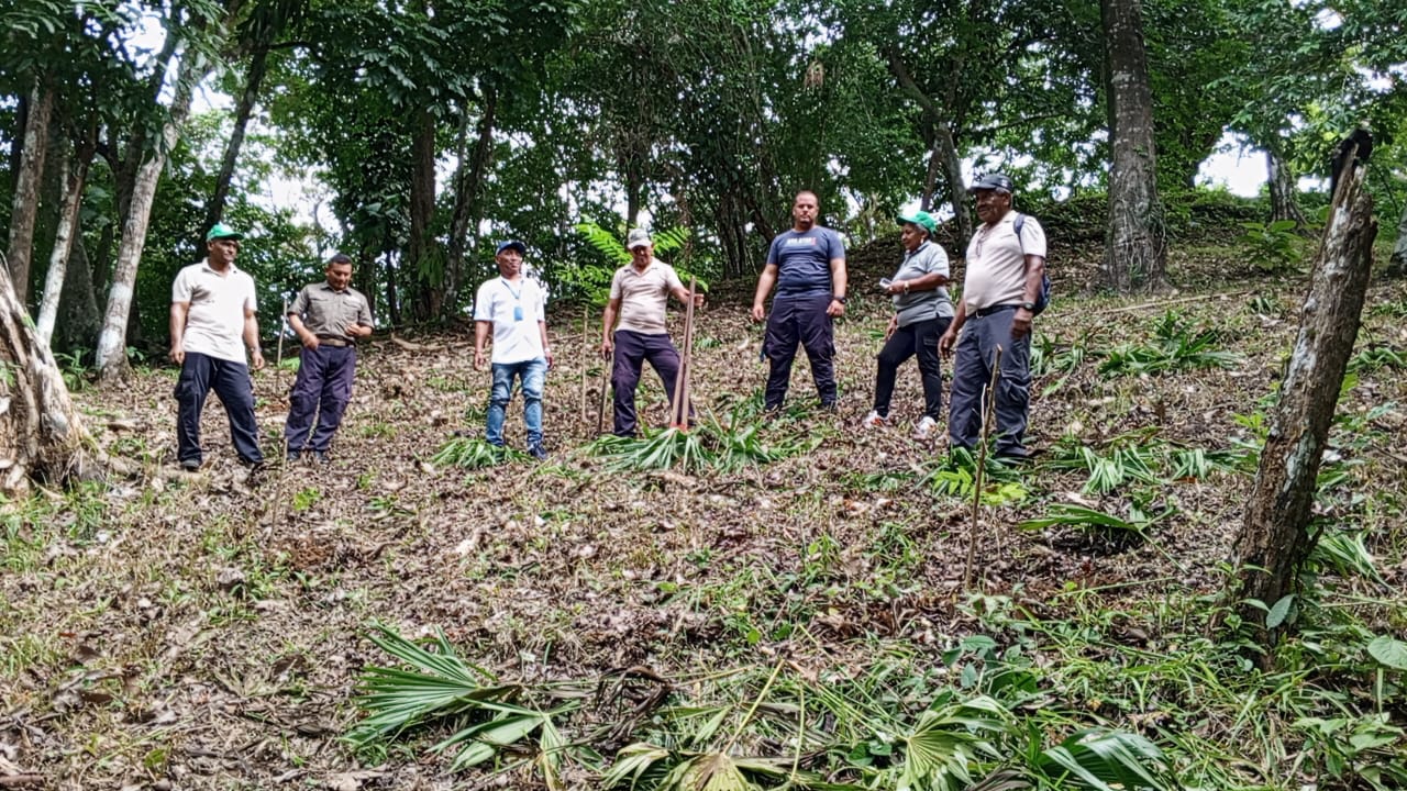 Jornada De Reforestación Como Acción Para Resaltar El Día Mundial De La
